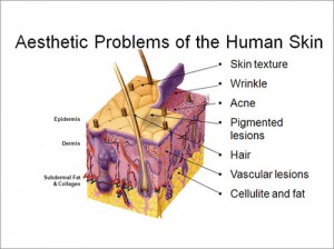 Dual Radio Frequency - SkinFirst